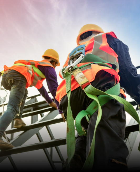 SCGJWD | Logistics and Supply Chain Solutions Provider #1 in ASEAN's